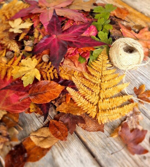 How to preserve autumn leaves for crafts using glycerine - Hygge Style