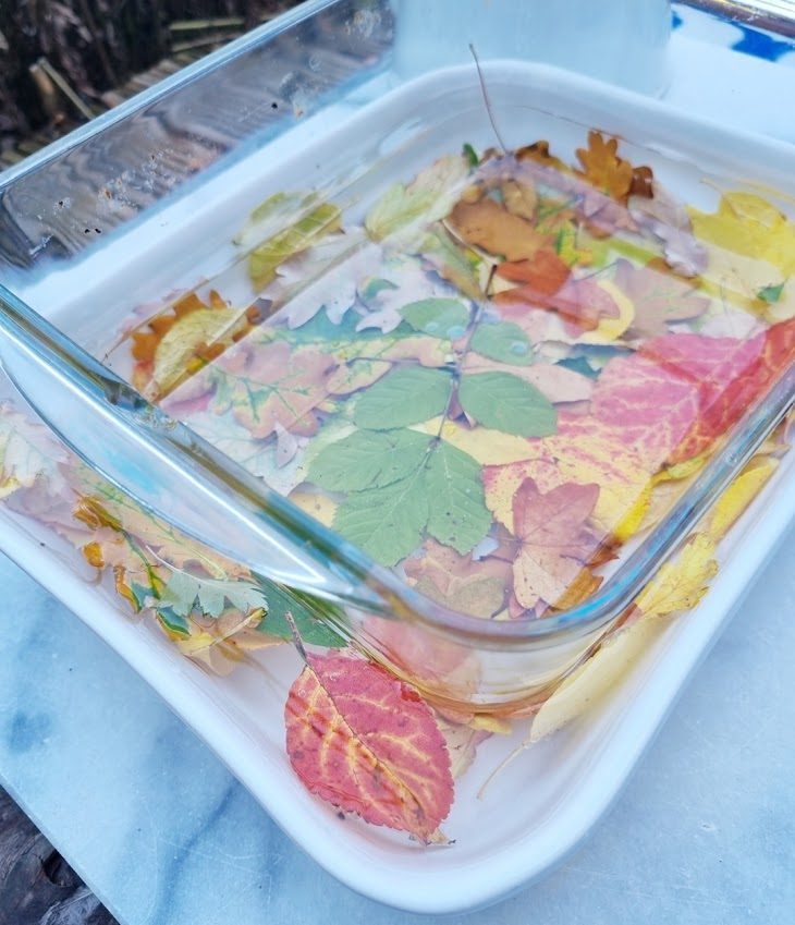 How to preserve autumn leaves for crafts using glycerine - Hygge Style